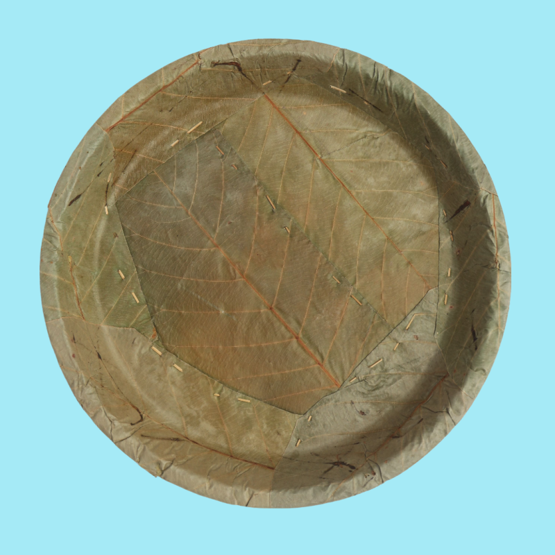 Indradev Duna Tapari Udhyog