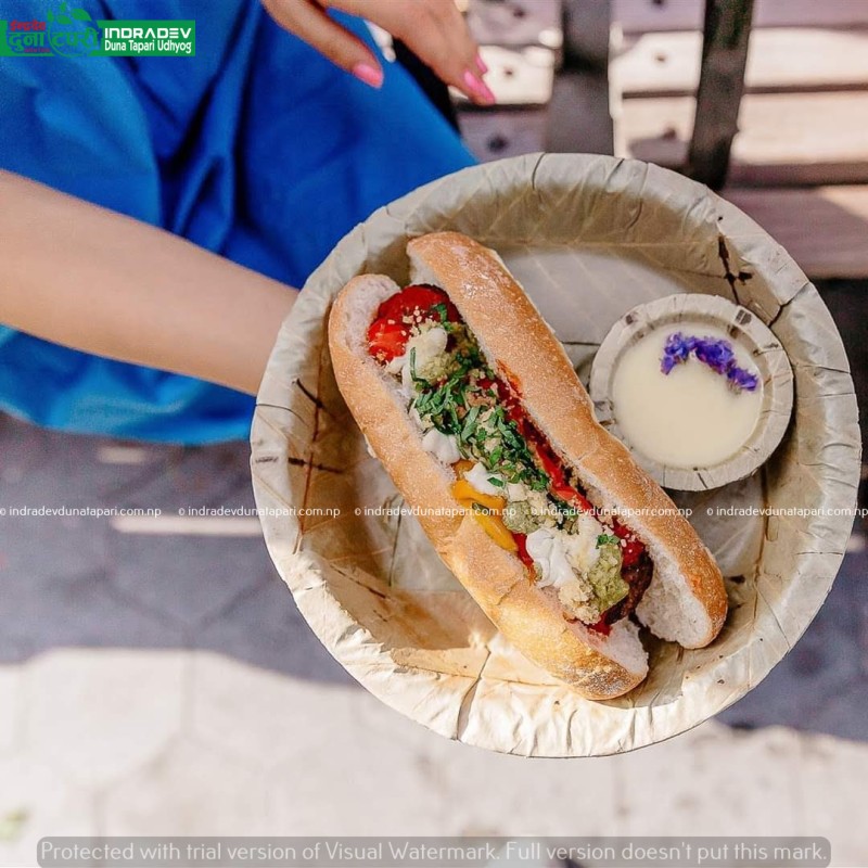 Indradev Duna Tapari Udhyog